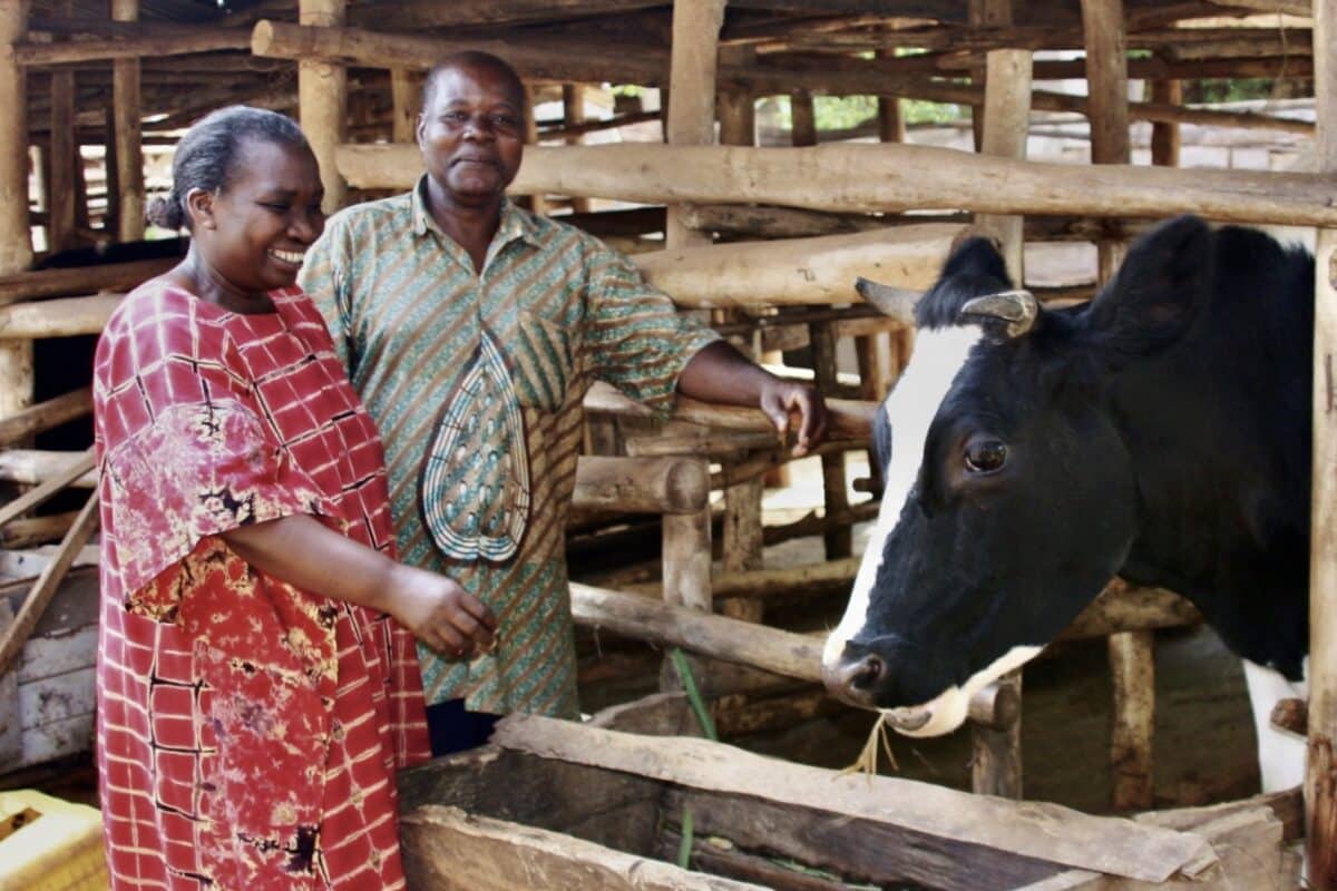 Africa Charity Organization | Microfinancing Partners in Africa