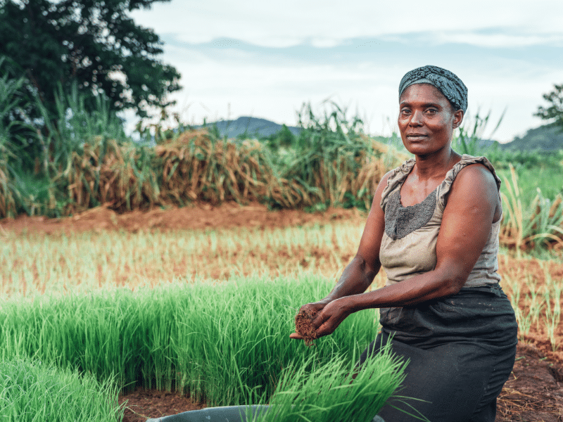 Loans for African Farmers | Microfinancing Partners in Africa