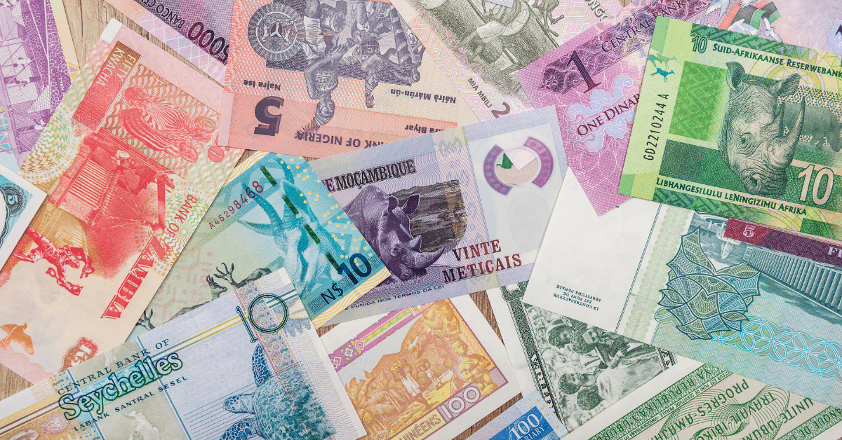 Financial Literacy in Africa | Microfinancing Partners in Africa
