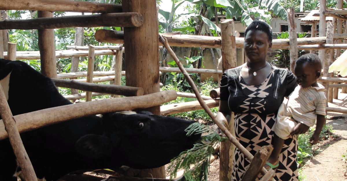 African Farming Solutions | Microfinancing Partners in Africa