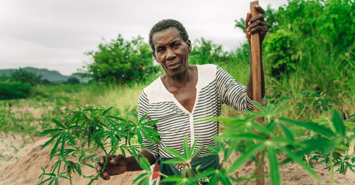 Microfinance Success Stories | Microfinancing Partners in Africa