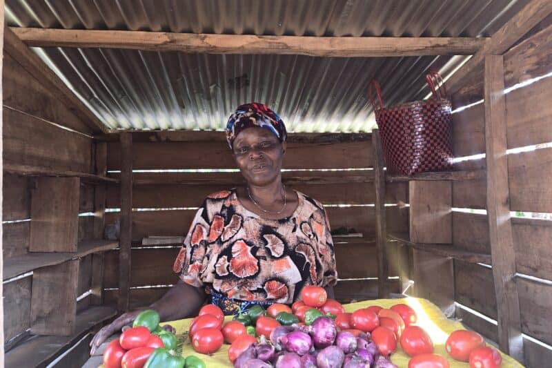 Micro Loans in Developing Countries | Microfinancing Partners in Africa