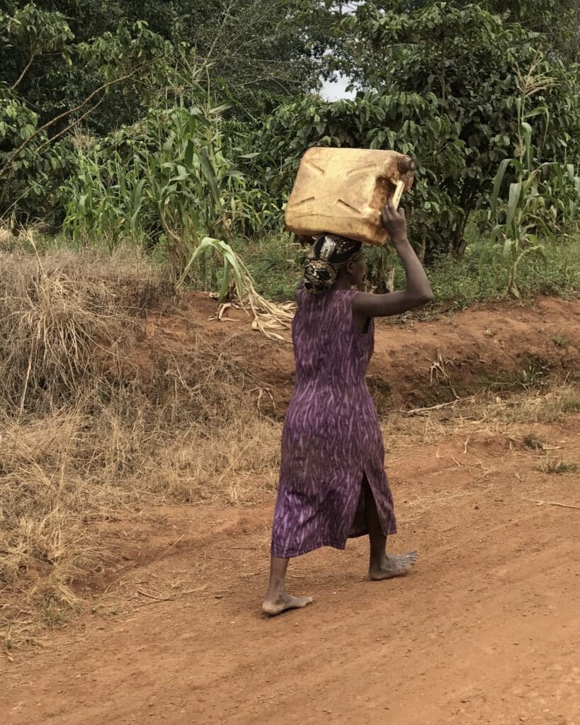 The Ripple Effect of a Microloan: How One Small Loan Transforms an ...